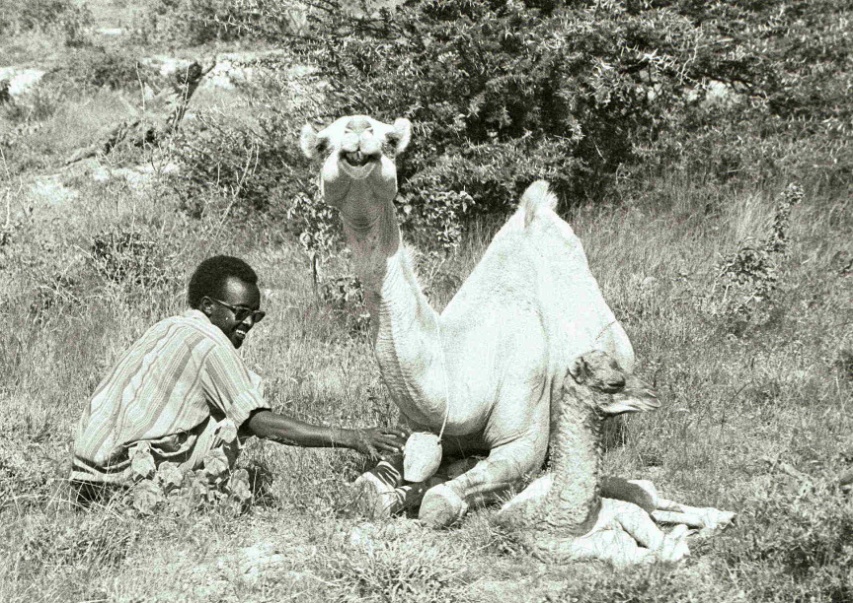 Vetwork - Resource Centre